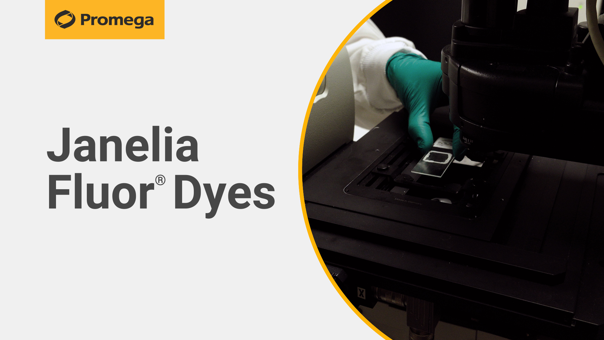 Janelia Fluor® HaloTag® Ligands | Janelia Fluor Dyes | Cell Imaging